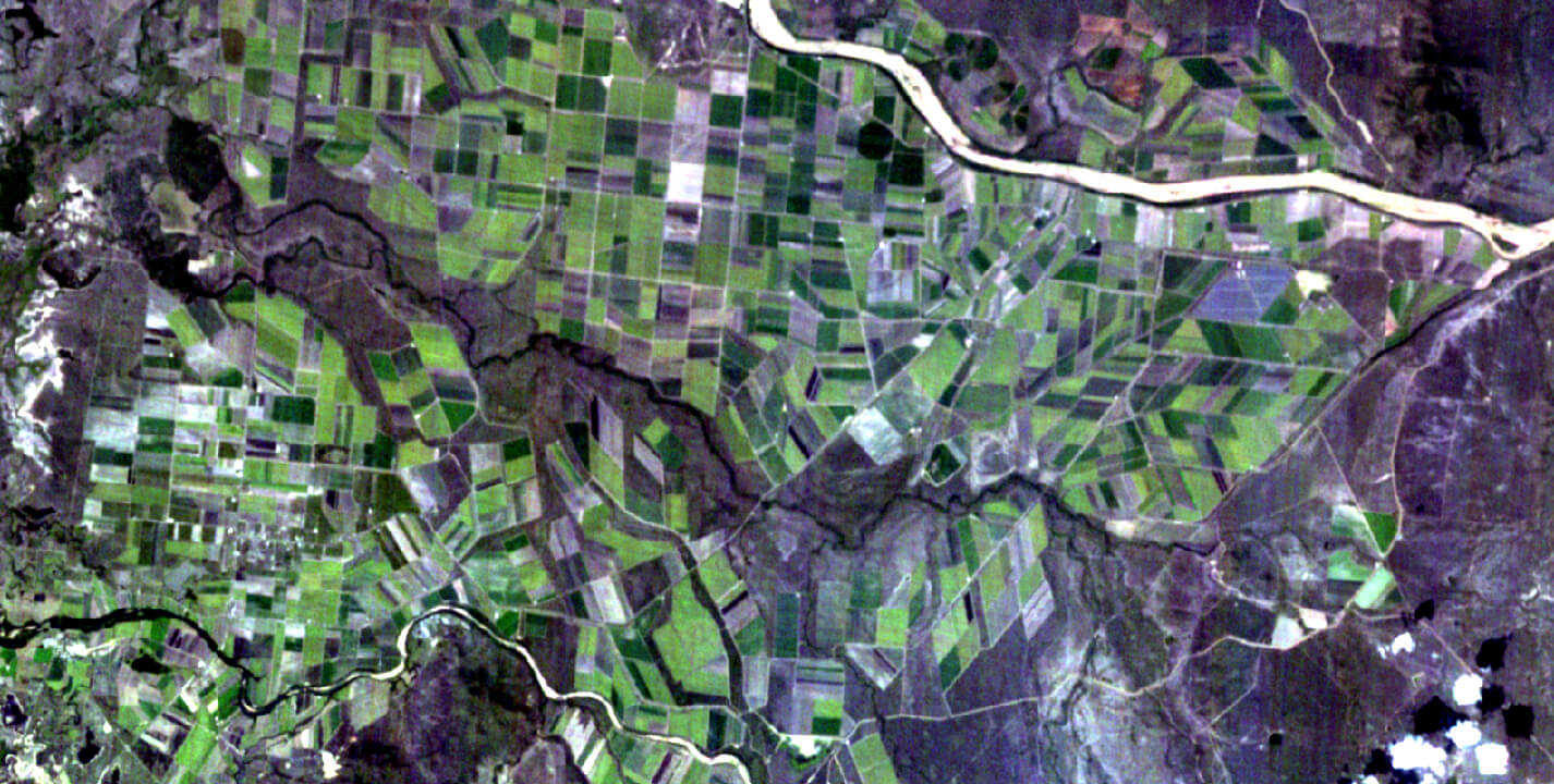 Crop Variety Classification Through Hyperspectral Imagery - Pixxel Crop Variety Classification Through Hyperspectral Imagery - Pixxel